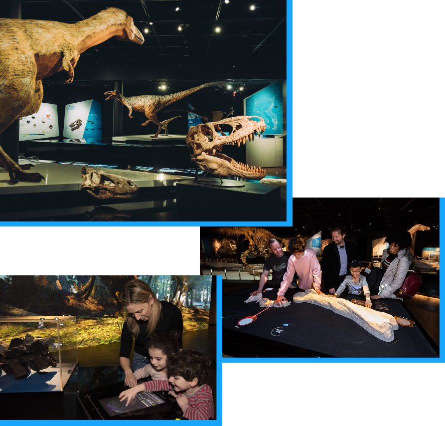 T. rex: The Ultimate Predator | thisisdistillery.com